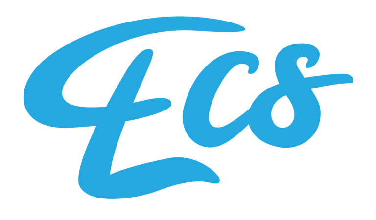 Company Corporate Structure – ecsfmgroup.com